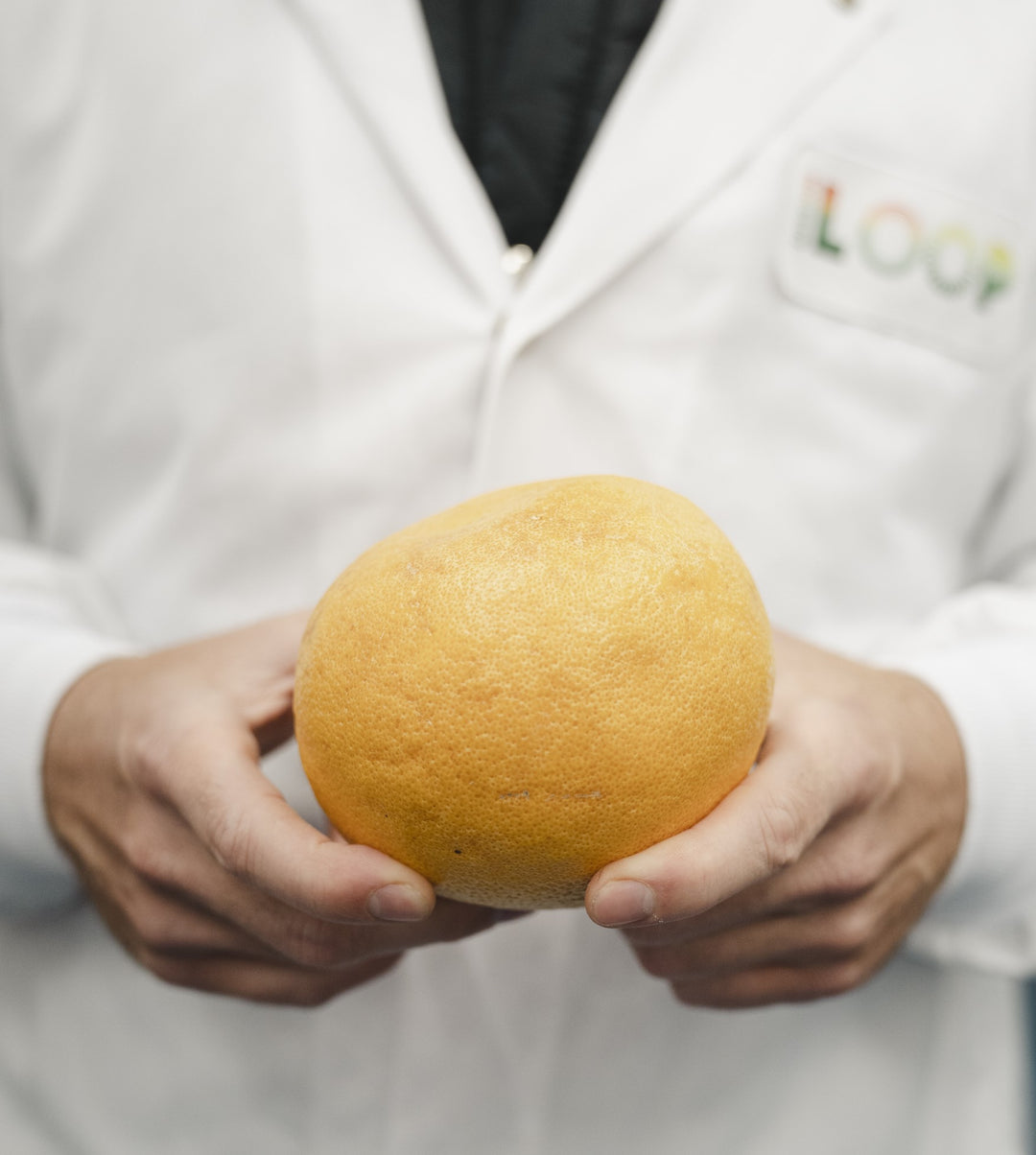 LOOP Synergies – LOOP Mission