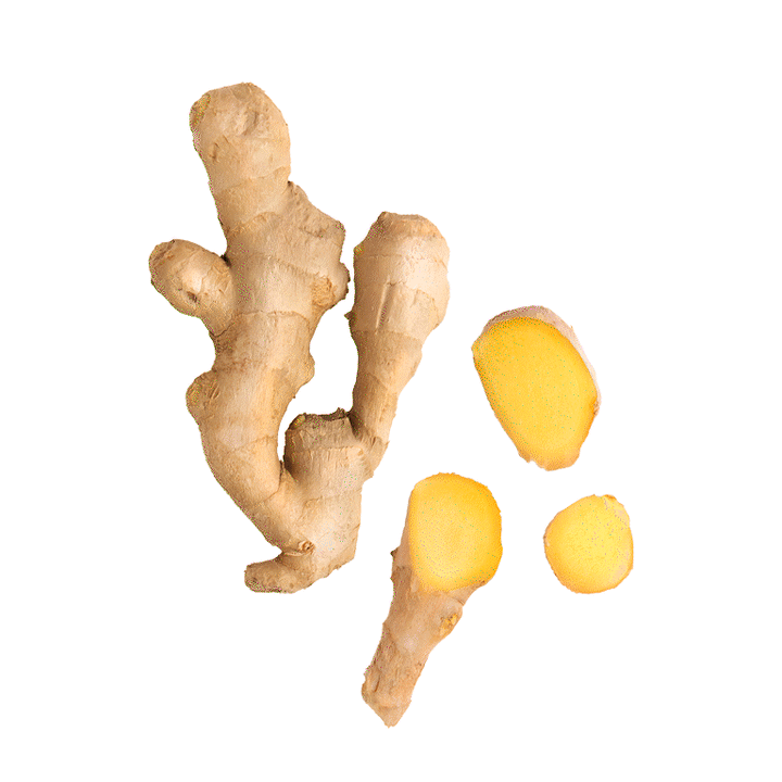 BOOSTER SHOT 60ml - Cold Pressed Wellness Shot - LOOP Mission