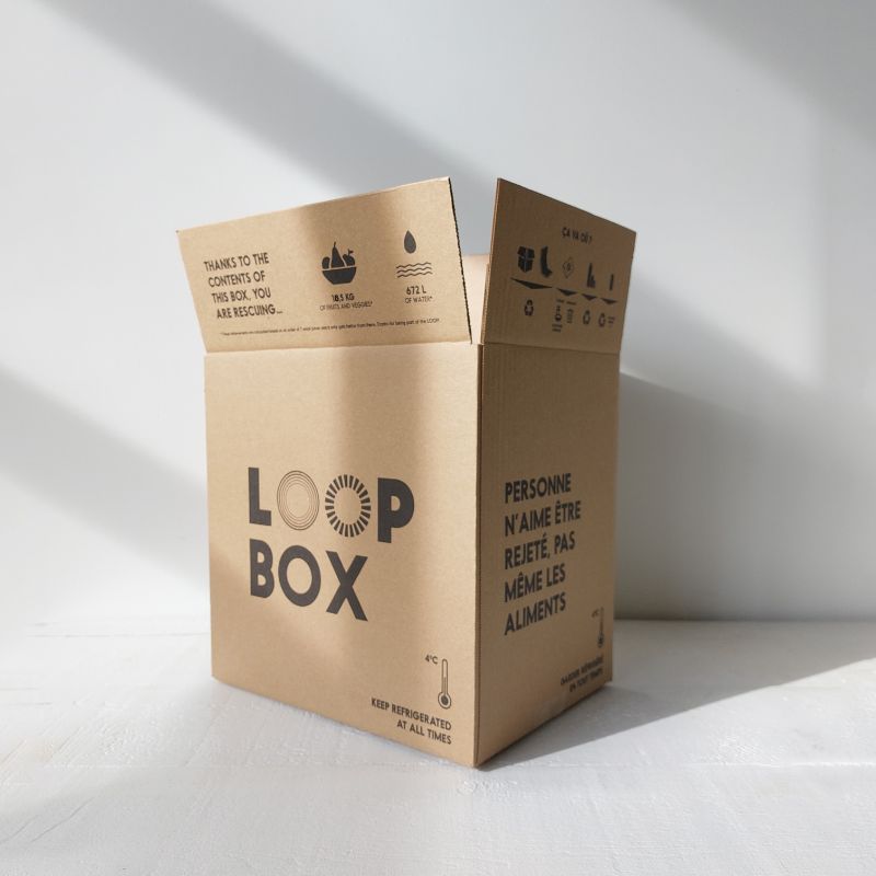 Contact us – LOOP Mission